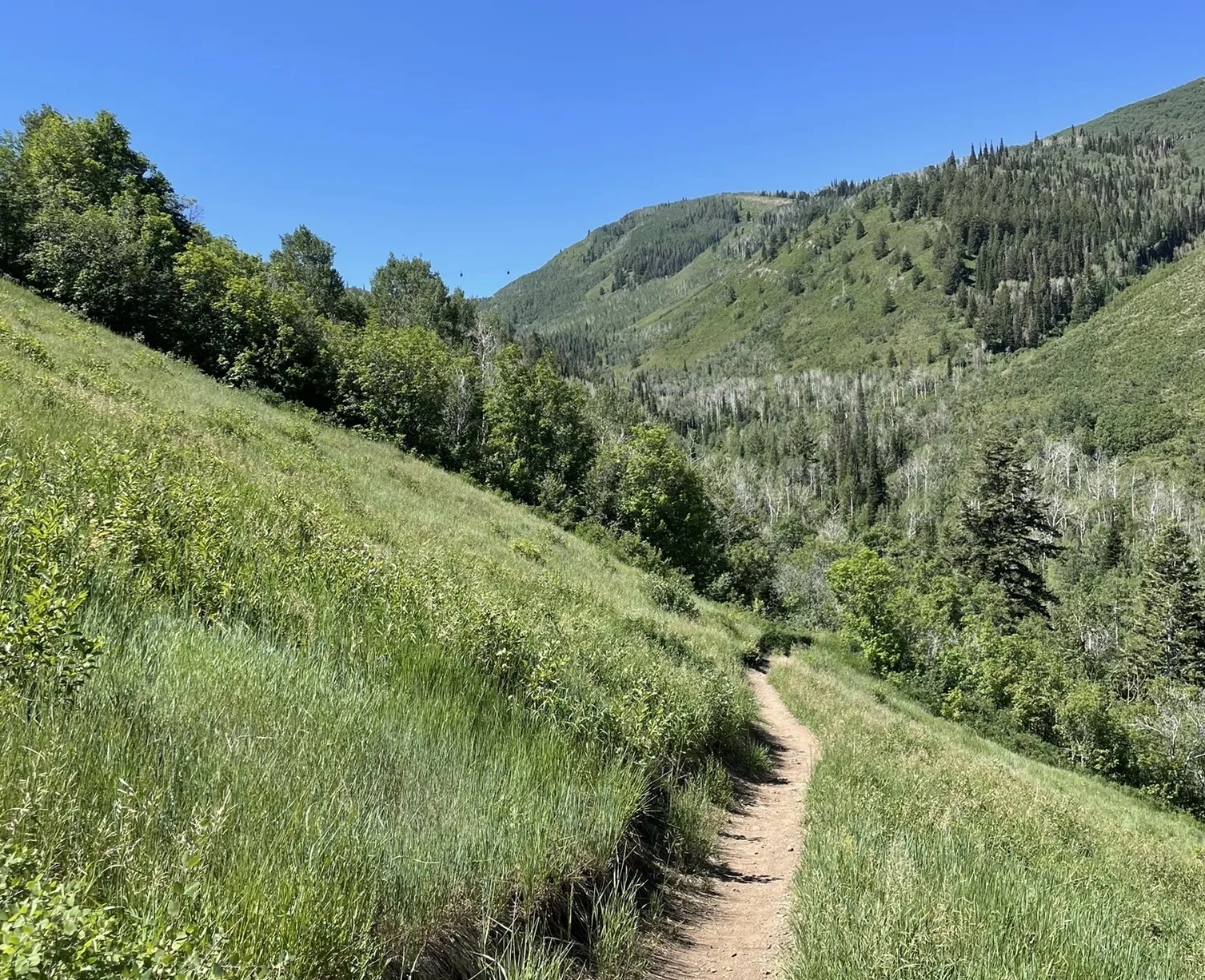 10 Best Hiking Trails Around Park City - Luxe Haus Vacations